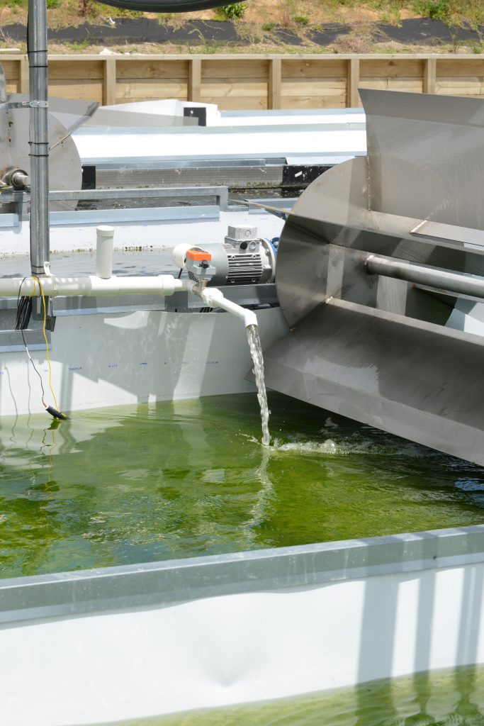 Nature-based water treatment – New Zealand’s cleaner future starts here ...