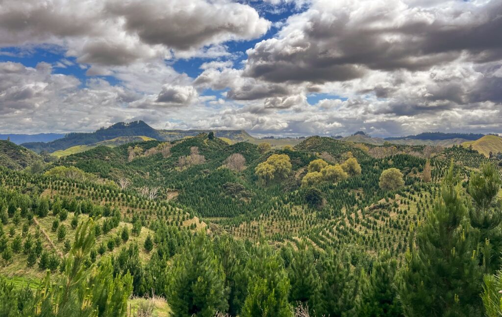 PF Olsen welcomes new Board appointment - Quayside Holdings