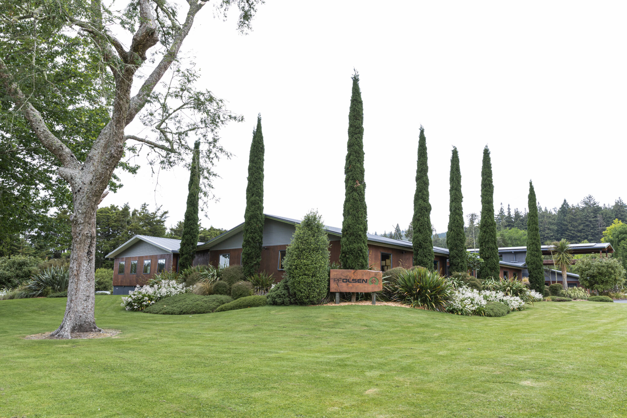 Media Release: PF Olsen and Quayside announce investment partnership ...